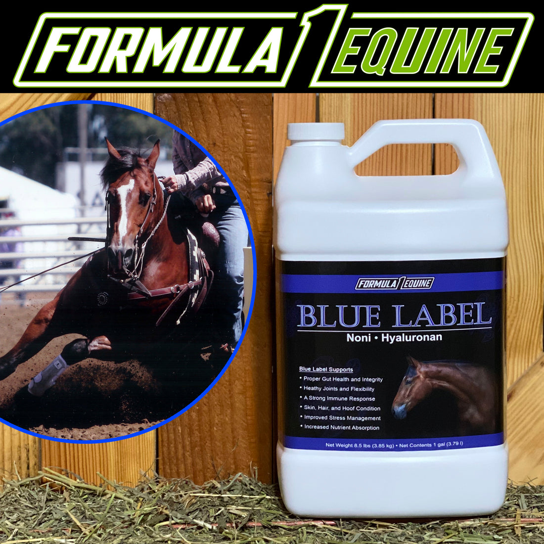 Equine-Formula 1 Noni Blue Label with Hyaluronic Acid – Formula 1 Equine