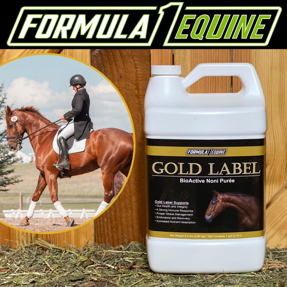 F1 Gold Label: BioActive Noni Pureé – Formula 1 Equine