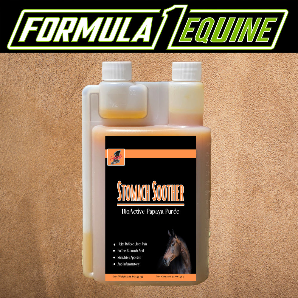 Stomach Soother (32oz) – Formula 1 Equine
